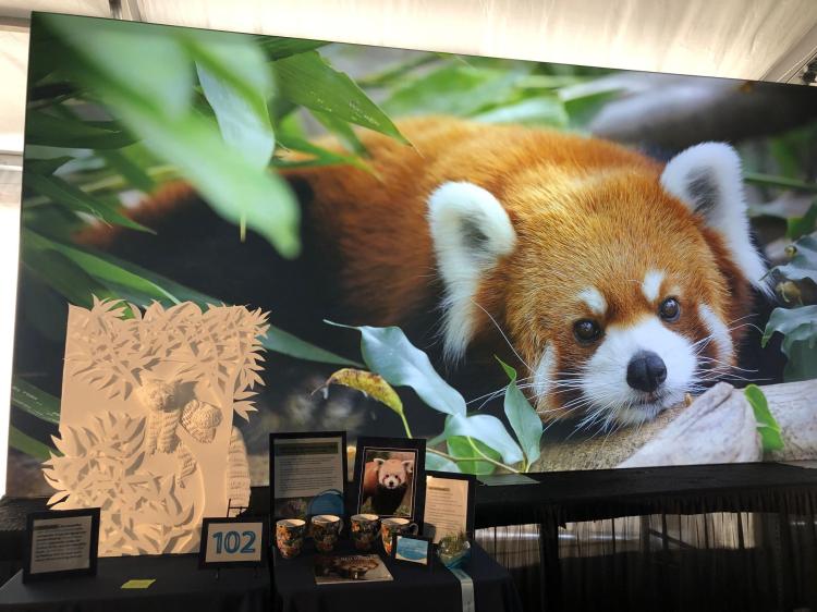 Paper Art – Janet Croog