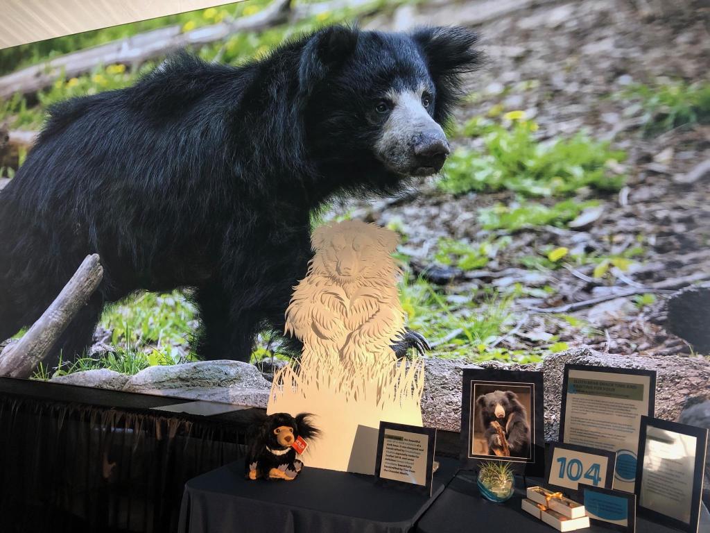 Paper Art – Janet Croog